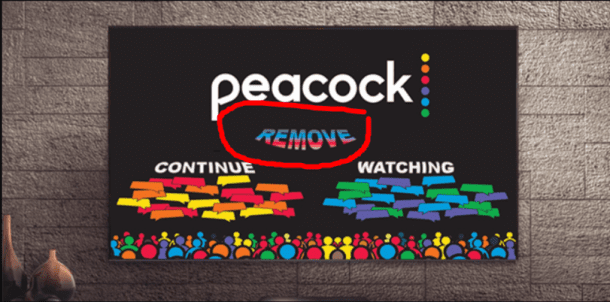 Why Is Peacock Not Working? 4 Common Issues And How To Fix Them
